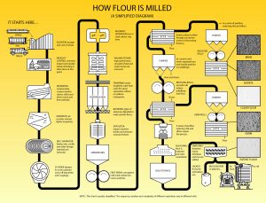 How Flour is Milled - Wheat Foods Council