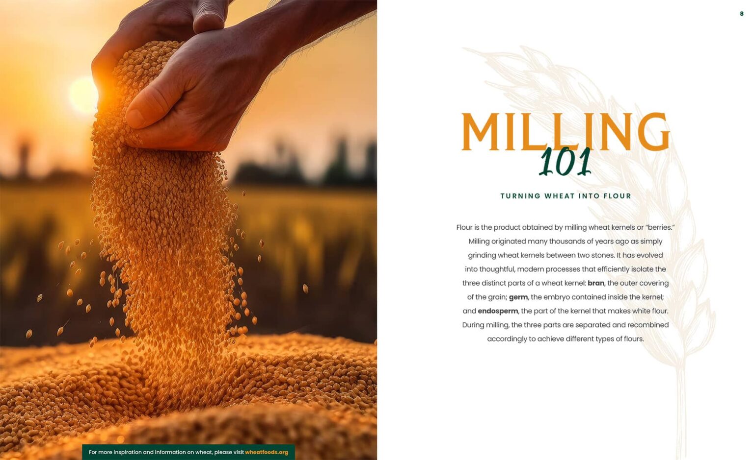 Milling 101 - Wheat Foods Council